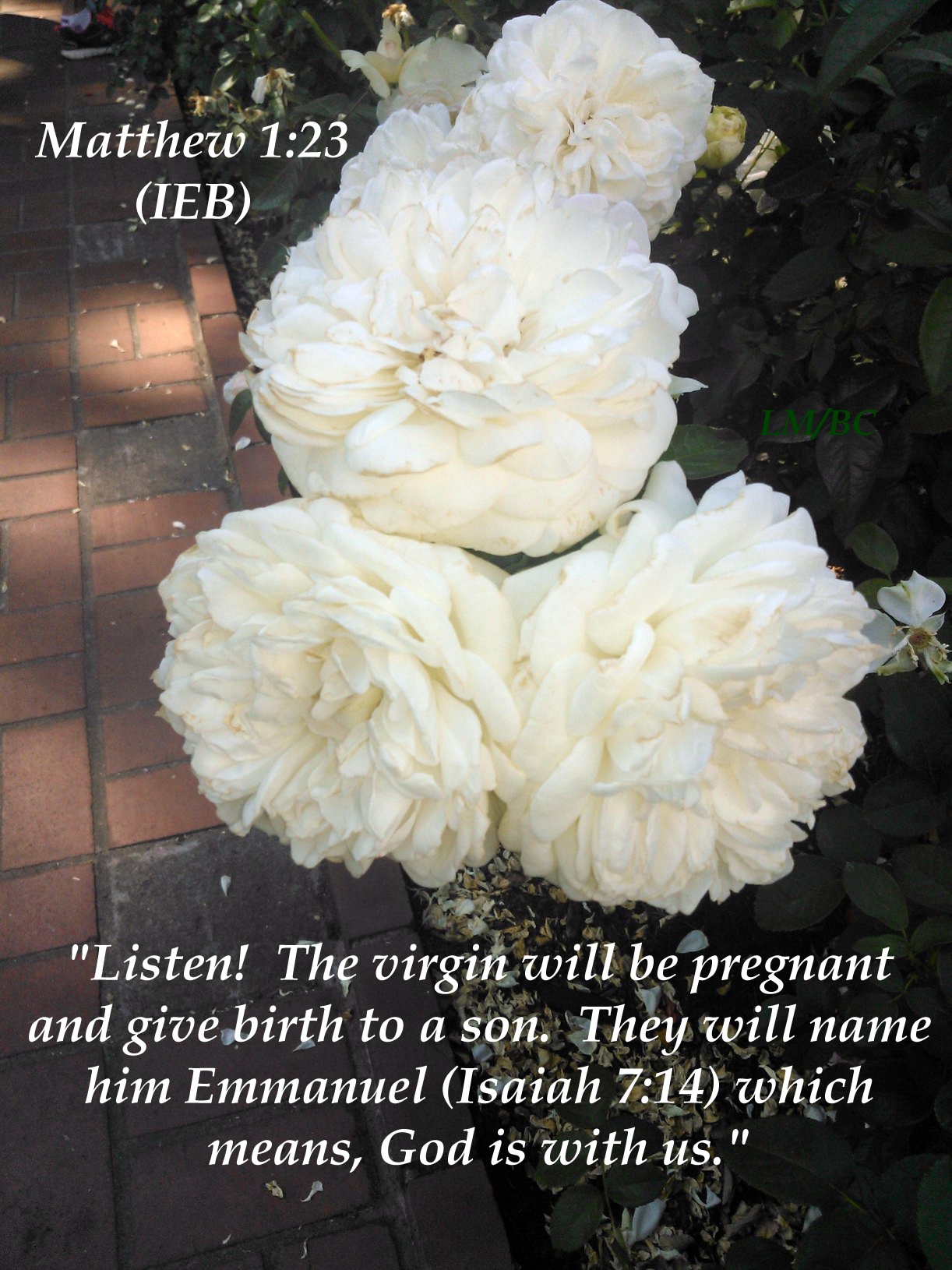 Emmanuel - Matthew 1_23 IEB - image - International English Bible